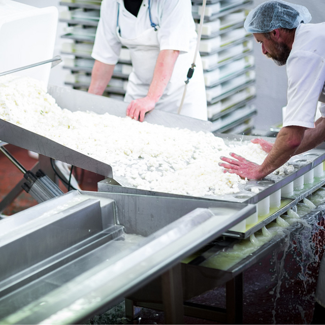 Minger | Smelly Scottish Cheese | Buy Online @ Highland Fine Cheeses