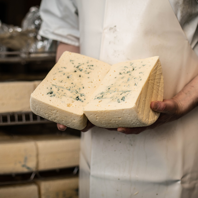 Strathdon Blue | Blue Scottish Cheese | HFC – Highland Fine Cheeses