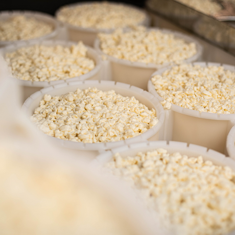 Strathdon Blue | Blue Scottish Cheese | HFC – Highland Fine Cheeses