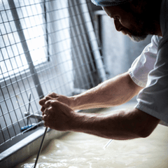 Black Crowdie | Dry Curd Scottish Cheese | HFC – Highland Fine Cheeses