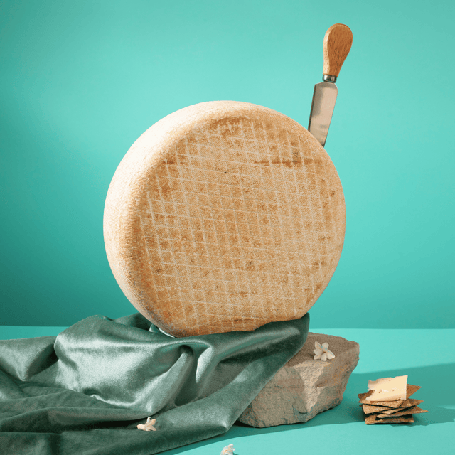 Fat Cow | Emmental Style Scottish Cheese | HFC – Highland Fine Cheeses